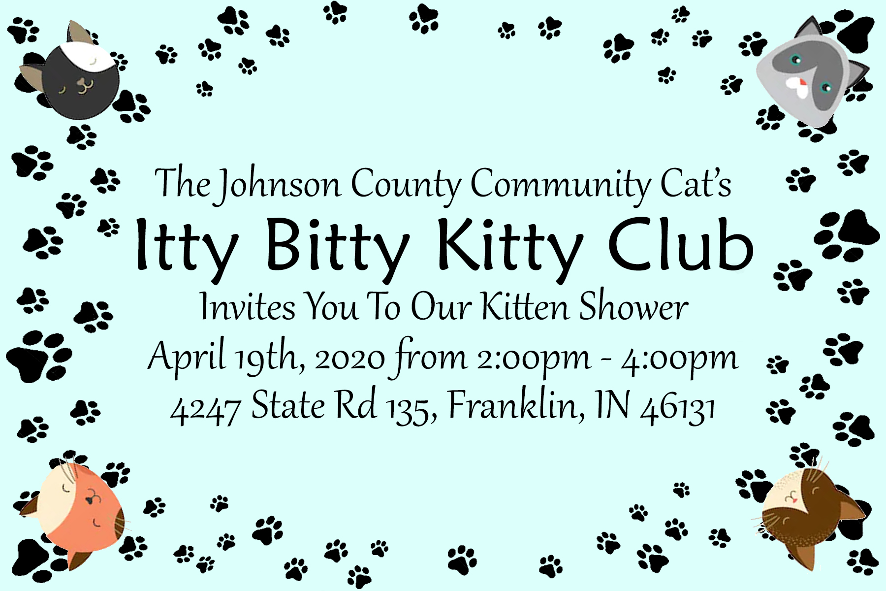 Itty Bitty Kitty Club: Our Kitten Shower – Johnson County Community Cats